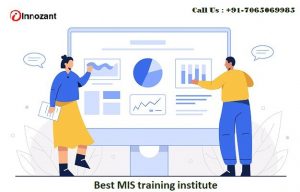 What are MIS and its scope? | Innozant