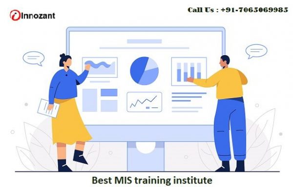 What are MIS and its scope? | Innozant